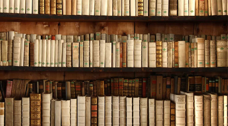 ¿Qué es el recurso de reposición?